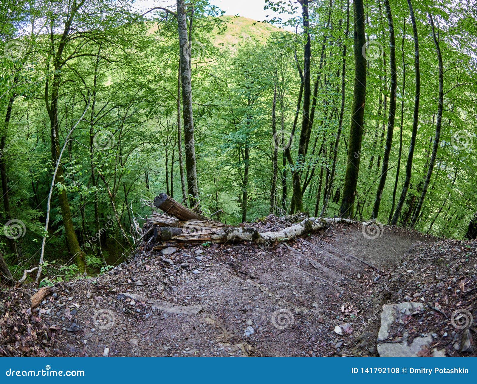 Hiking Trail Descends from a Very Steep Slope in the Spring Forest ...