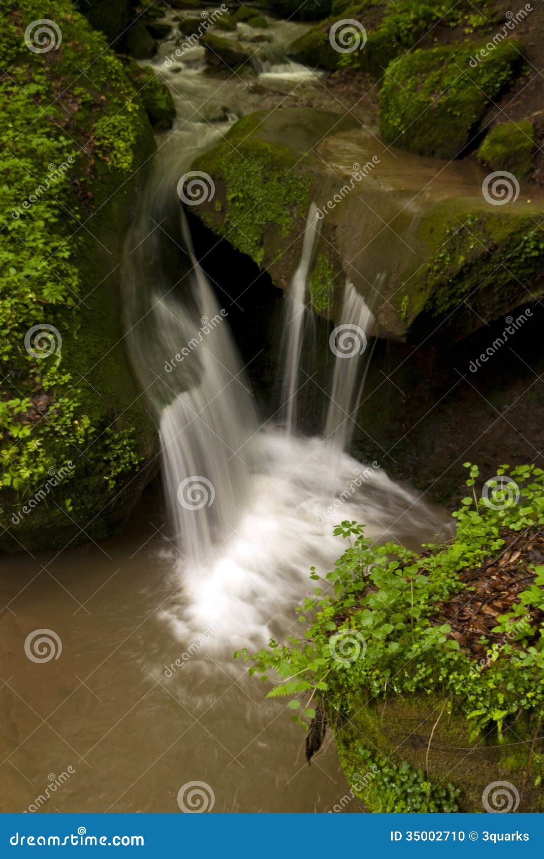 On the Hiking Trail Eifelsteig Stock Photo - Image of ...