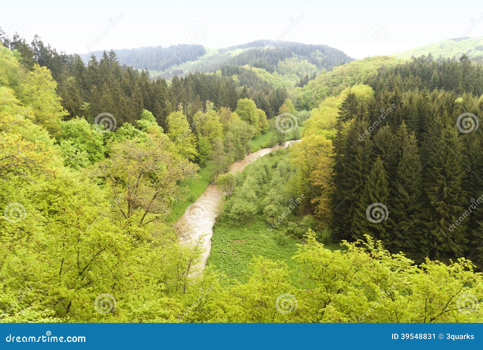 On the Hiking Trail Eifelsteig Stock Image - Image of creek, eifel ...