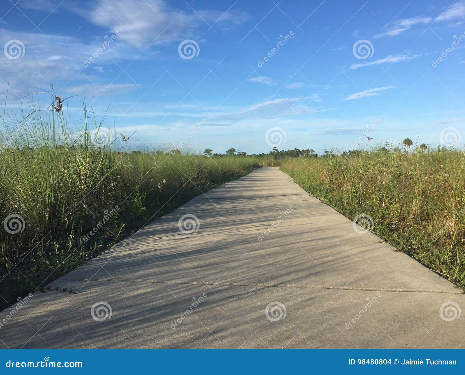Hiking Trail in the Everglades Stock Photo - Image of everglades, park ...