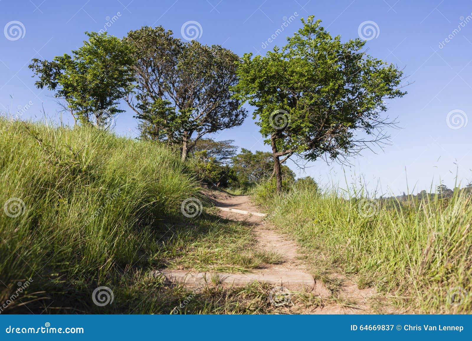 Hiking Trail Foot Path stock image. Image of summer, landscape - 64669837