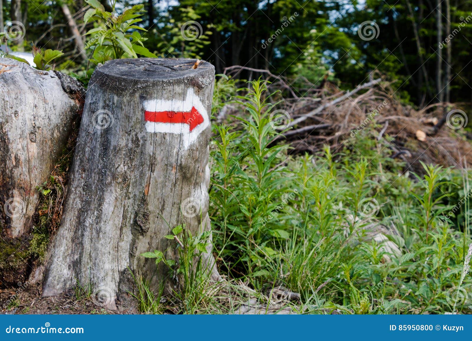 Hiking Trail Information Sign Stock Photo - Image of arrow, hard: 85950800