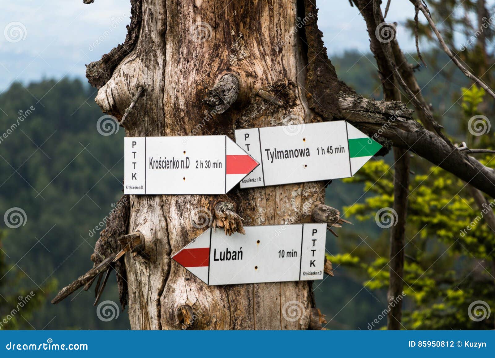 Hiking Trail Information Sign Stock Photo - Image of hiking, easy: 85950812