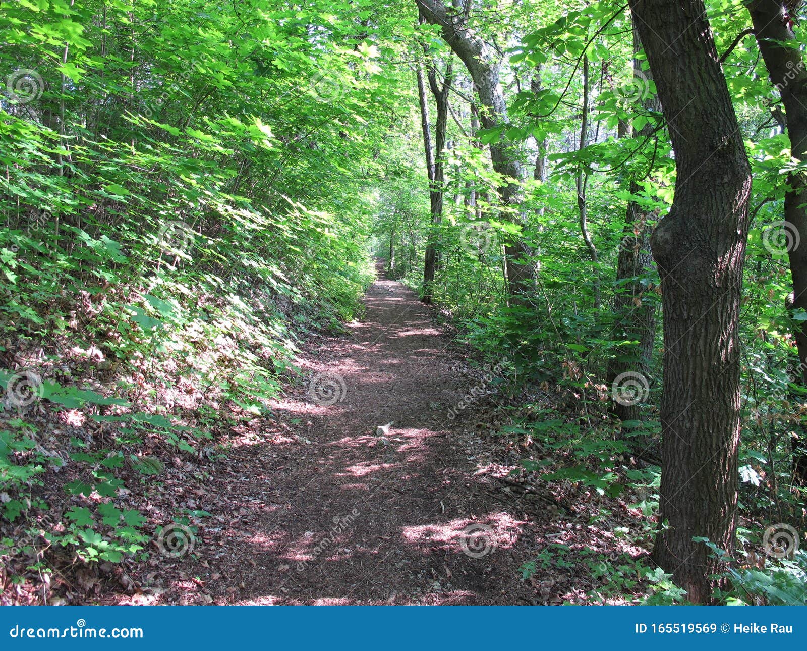 Hiking Trail in Jena, Lobeda, Kernberge, Thuringia, Germany Stock Image ...