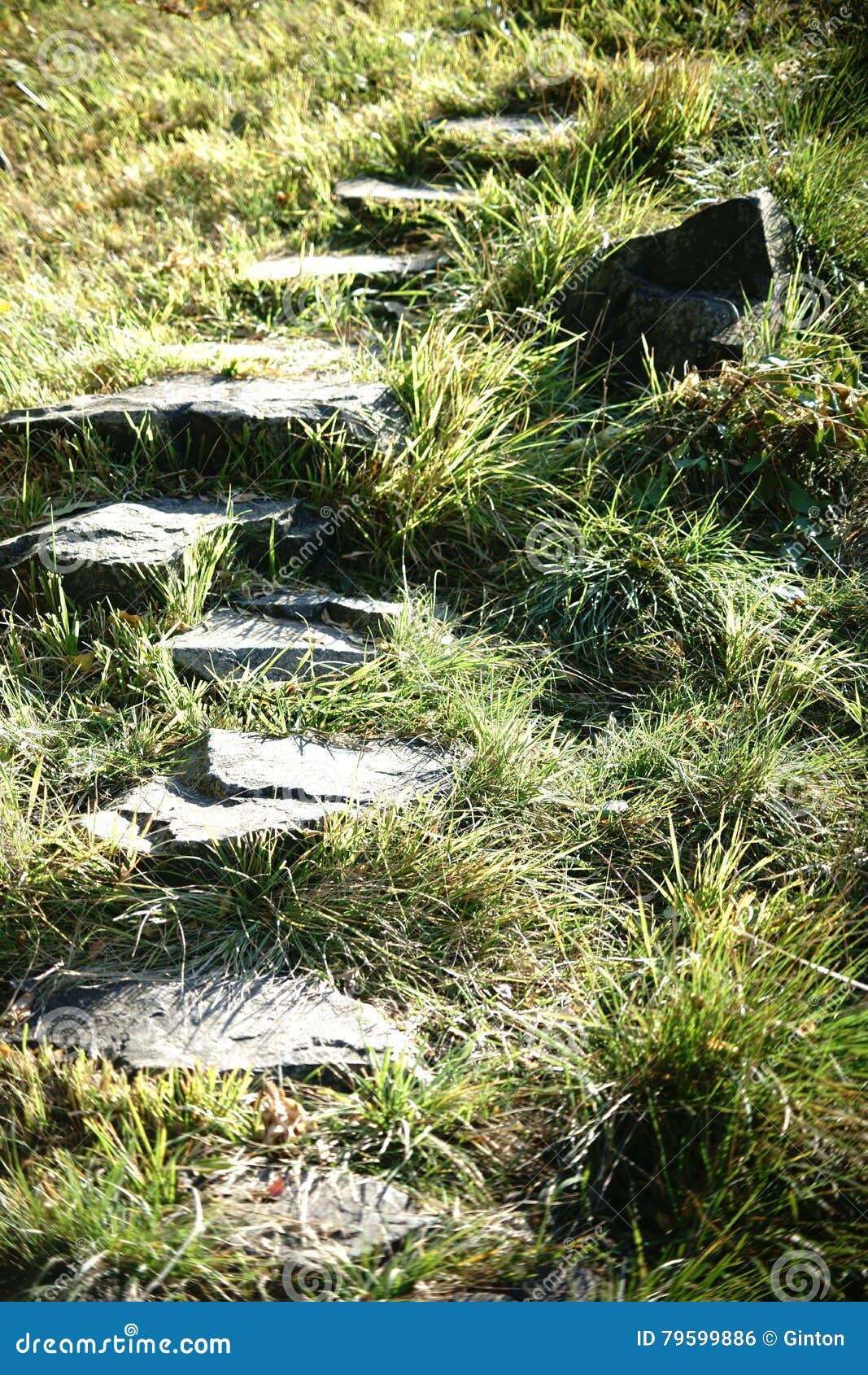Hiking trail stock photo. Image of plates, stone, meadow - 79599886