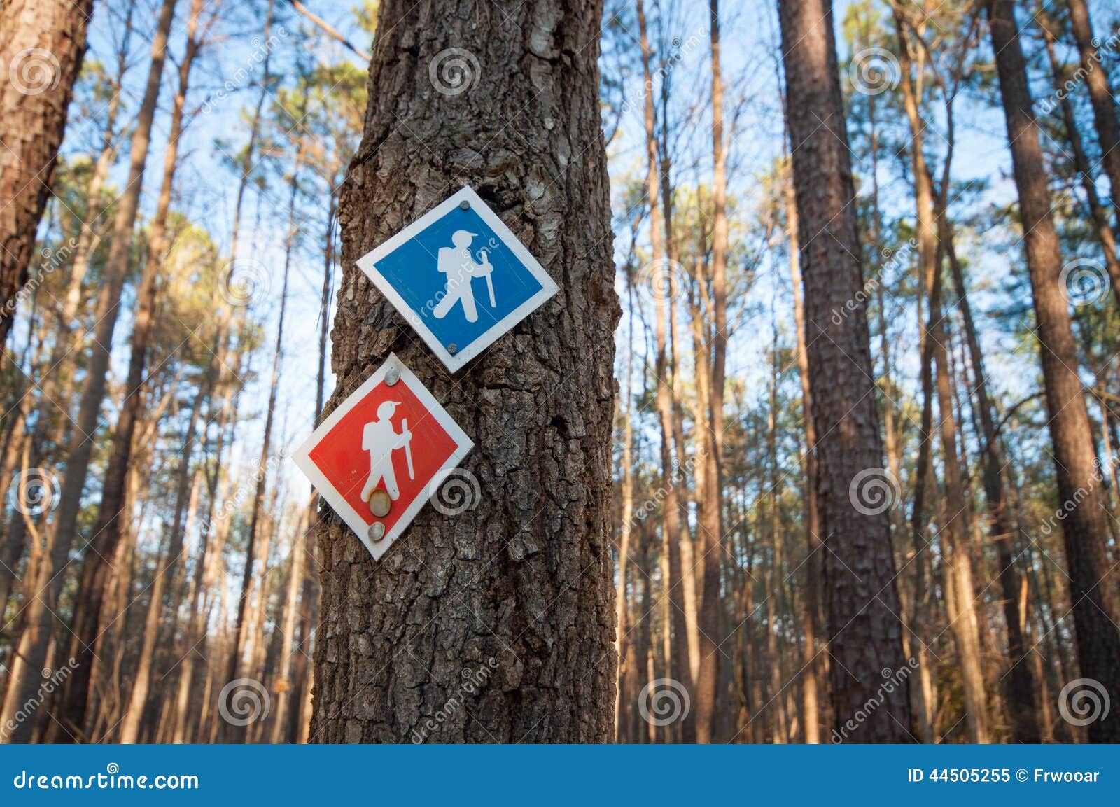 Hiking Trail Markers in Forest Stock Image - Image of blaze, nature ...