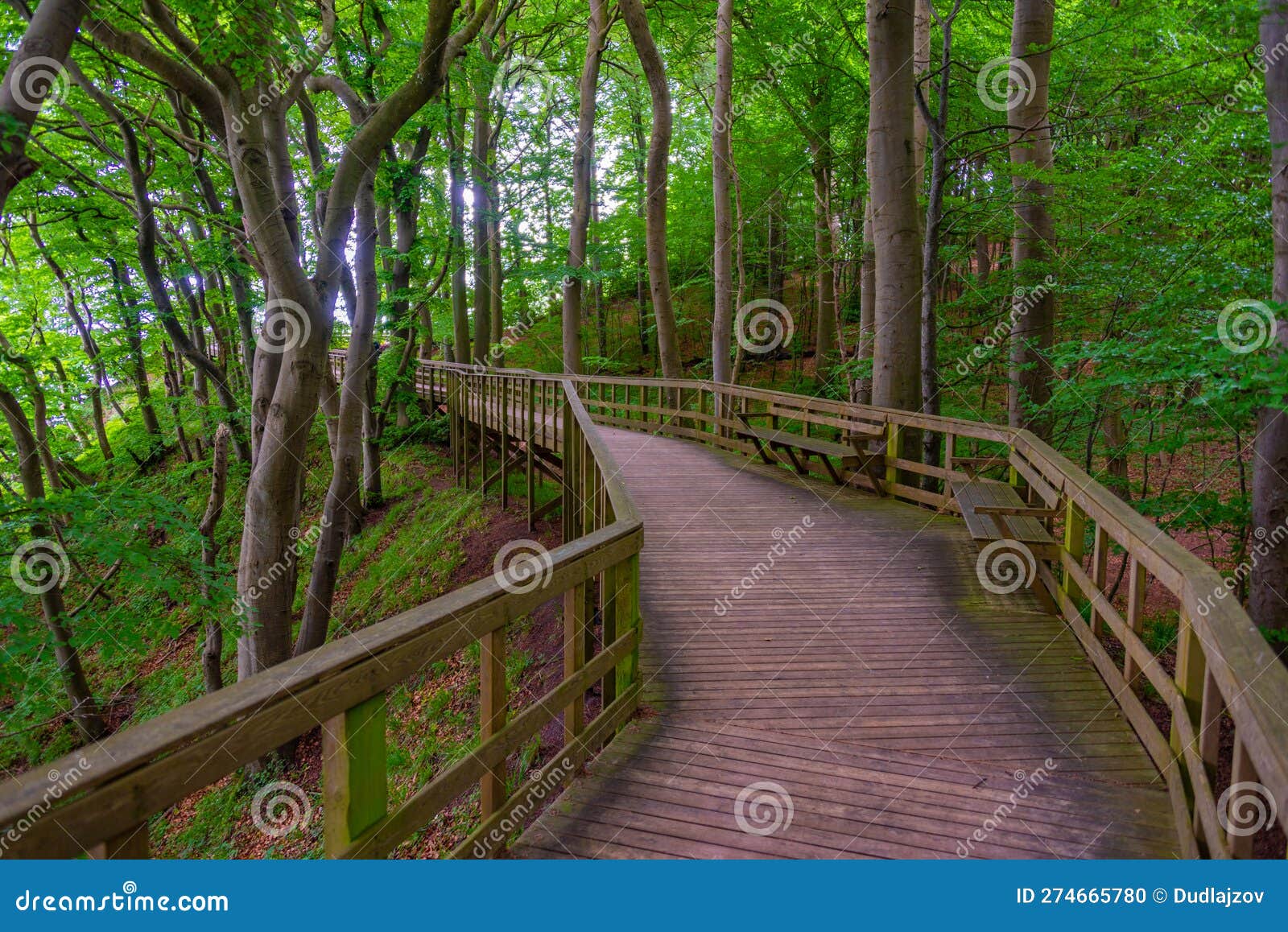 Hiking Trail at Mons Klint White Cliffs in Denmark Stock Photo - Image ...