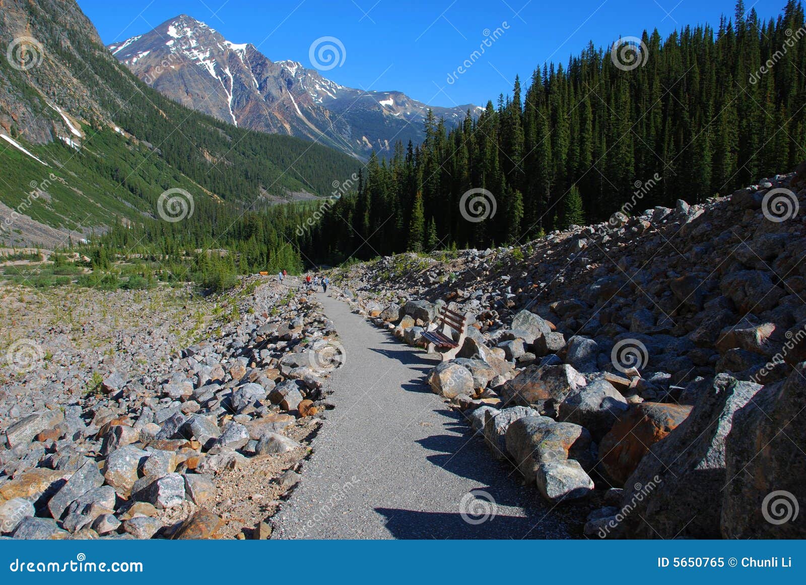 Hiking Trail on Mount Edith Cavell Stock Image - Image of july, jasper ...