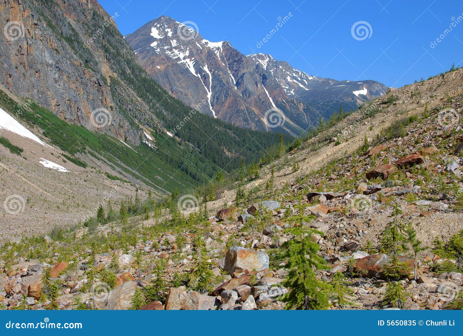 Hiking Trail on Mount Edith Cavell Stock Image - Image of angel ...