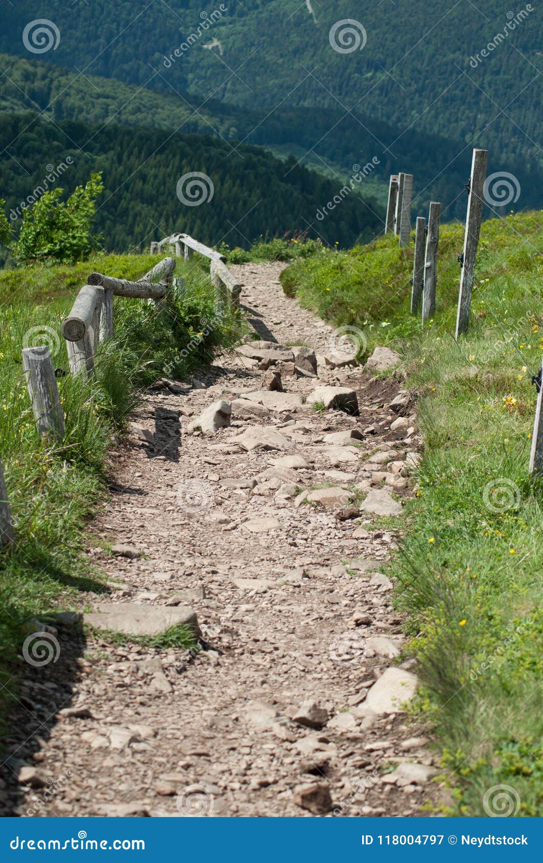 Hiking trail on mountain stock image. Image of hiking - 118004797