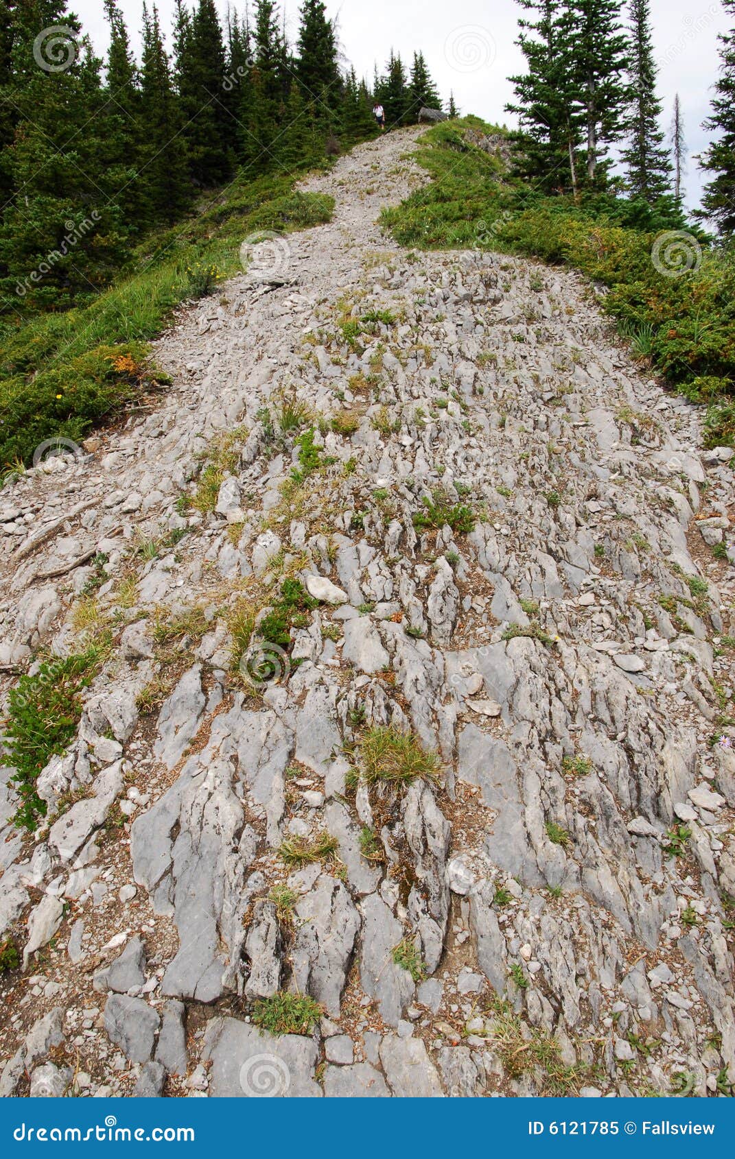 Hiking Trail on Mountain Ridge Stock Image - Image of rocky, alberta ...