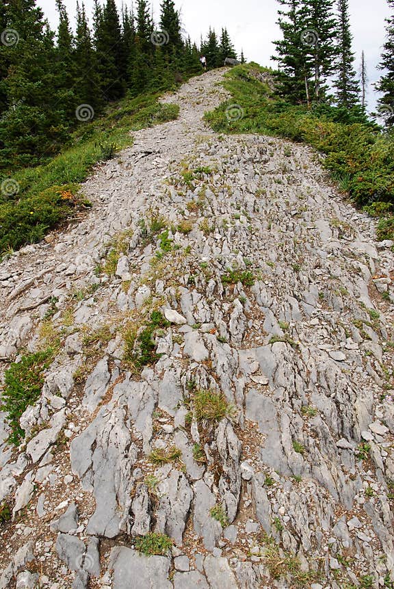 Hiking Trail on Mountain Ridge Stock Image - Image of rocky, alberta ...