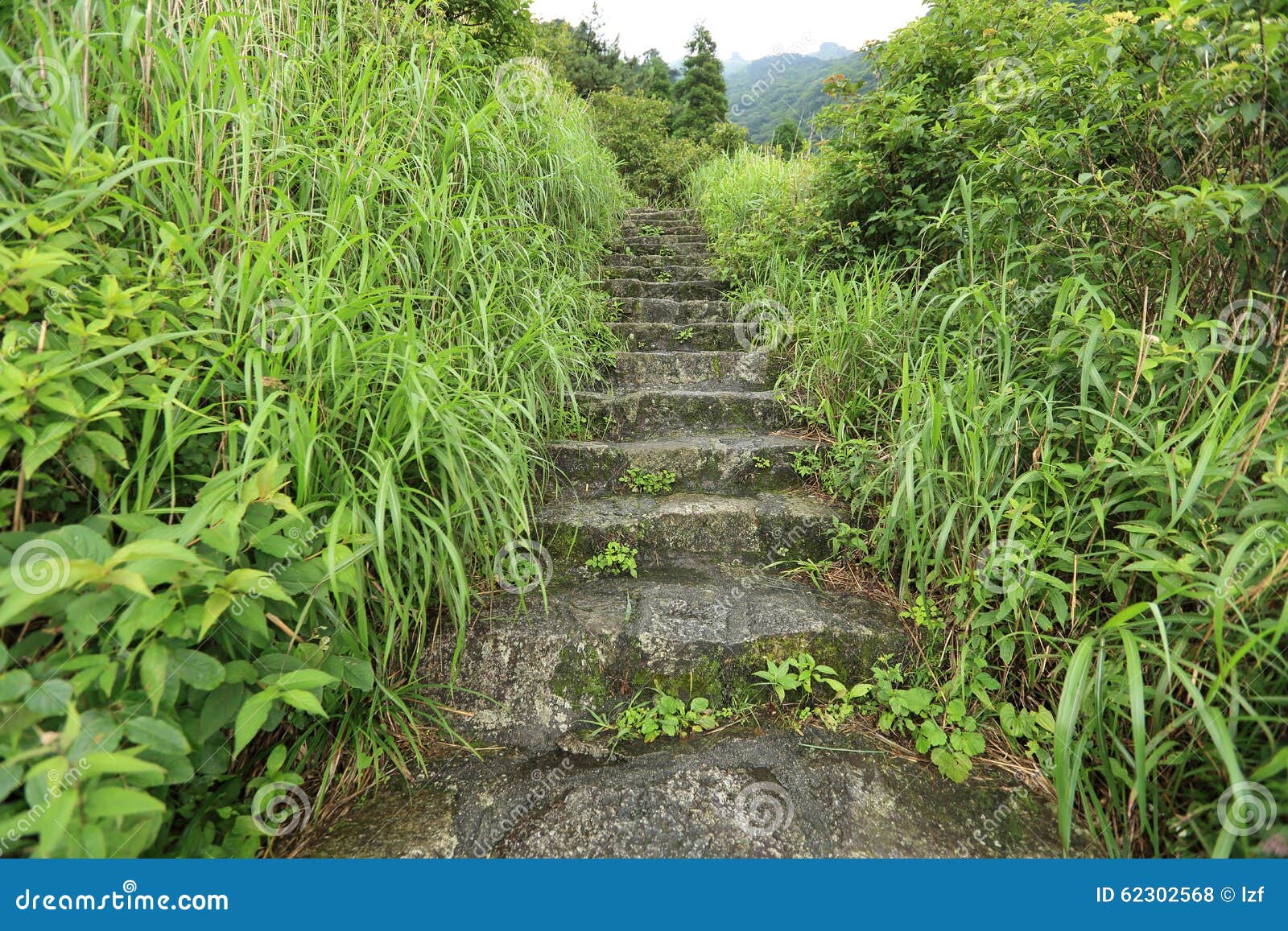 Hiking trail on mountain stock photo. Image of step, landscape - 62302568