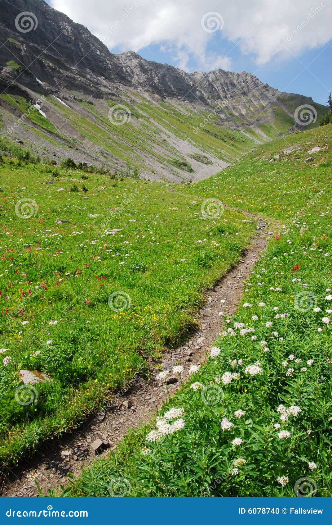 Hiking Trail on Mountain Top Stock Photo - Image of grassland, grass ...