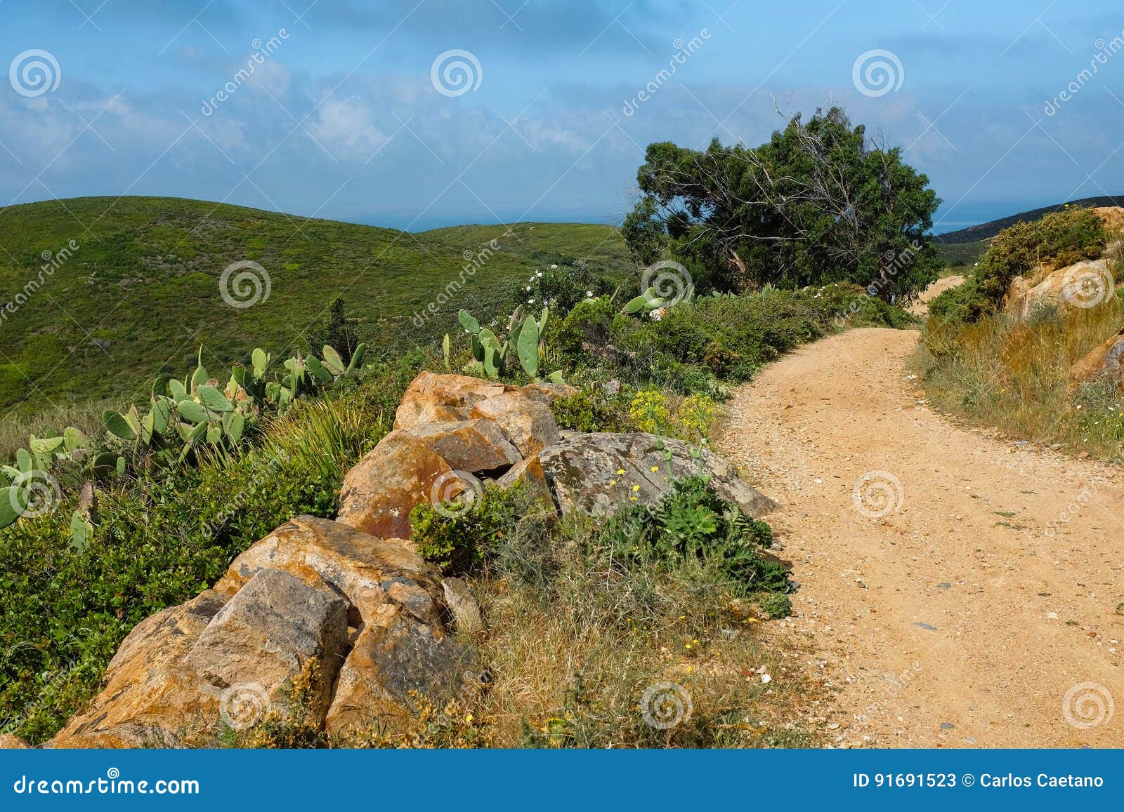 Hiking Trail stock image. Image of landscape, park, lush - 91691523