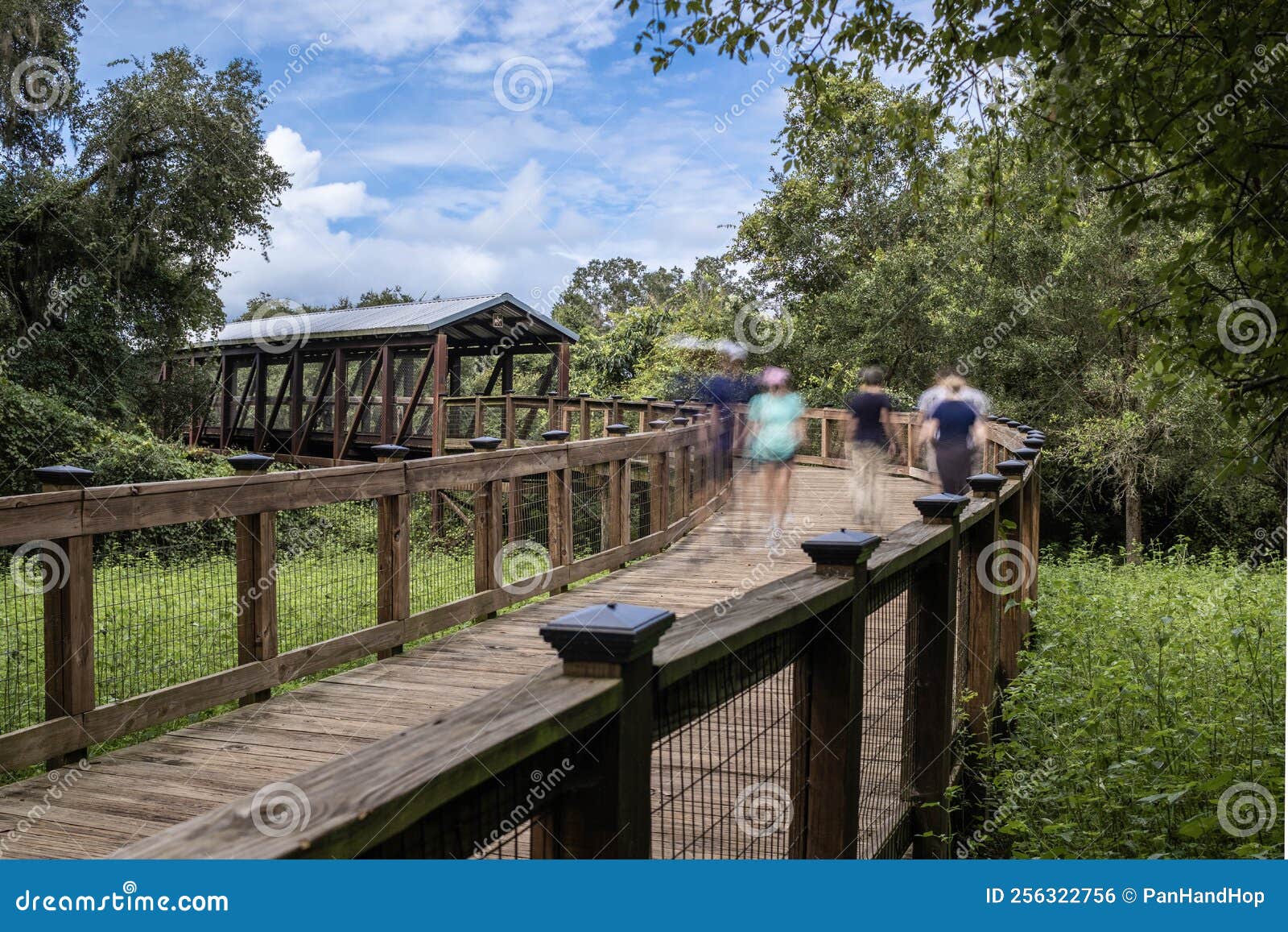 Hiking Trail Pedestrian Bridge with People Exercising Stock Photo ...