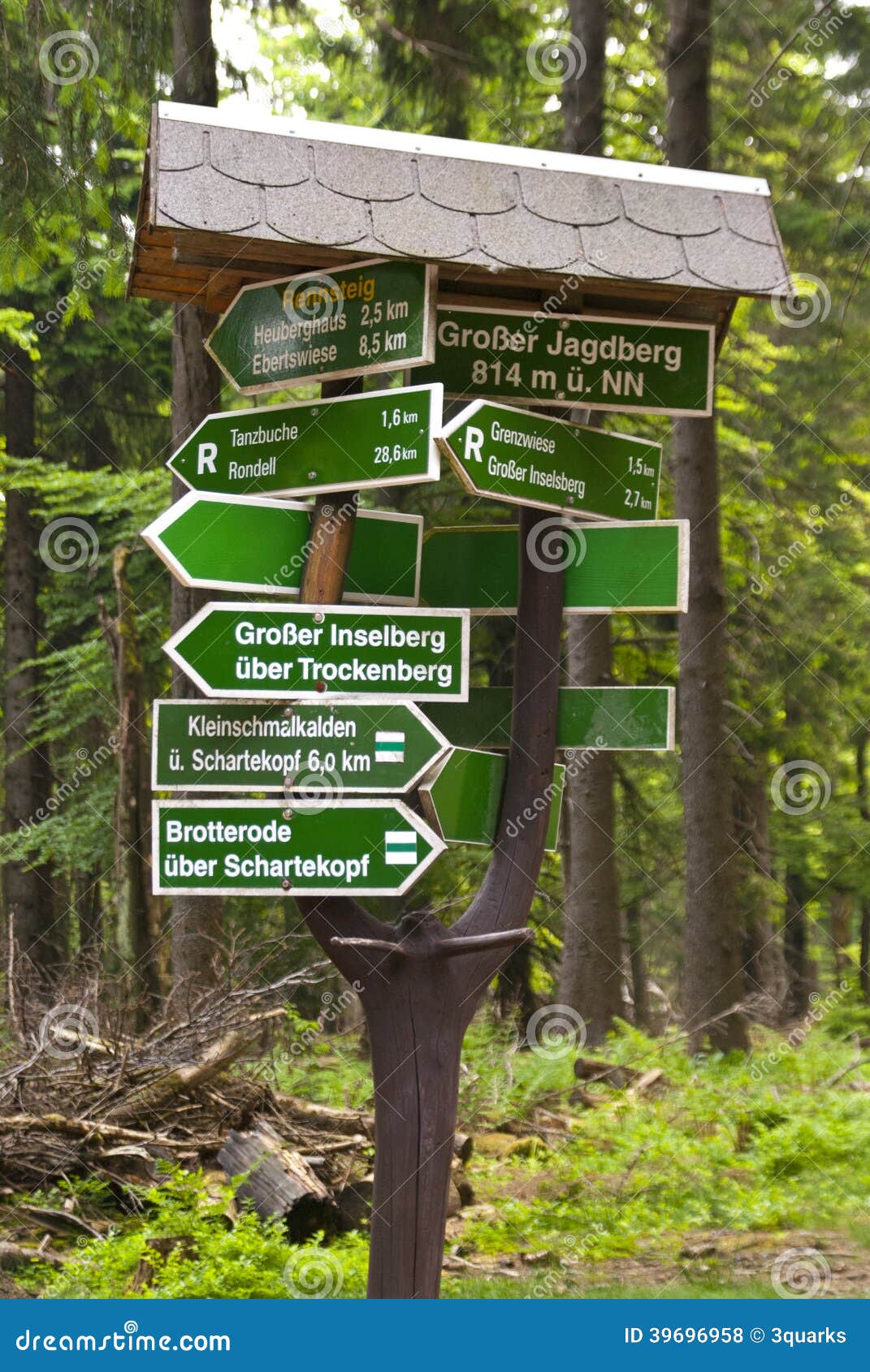 On the Hiking Trail Rennsteig Stock Photo - Image of walking, hiking ...