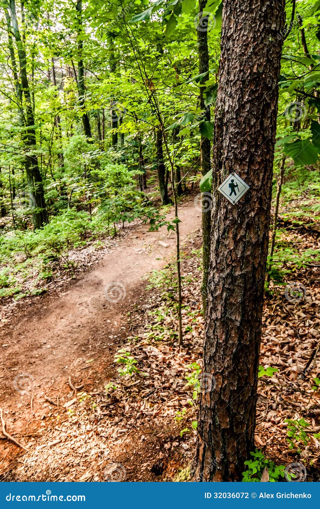 Hiking Trail Sign on the Forest Stock Photo - Image of state, mountain ...