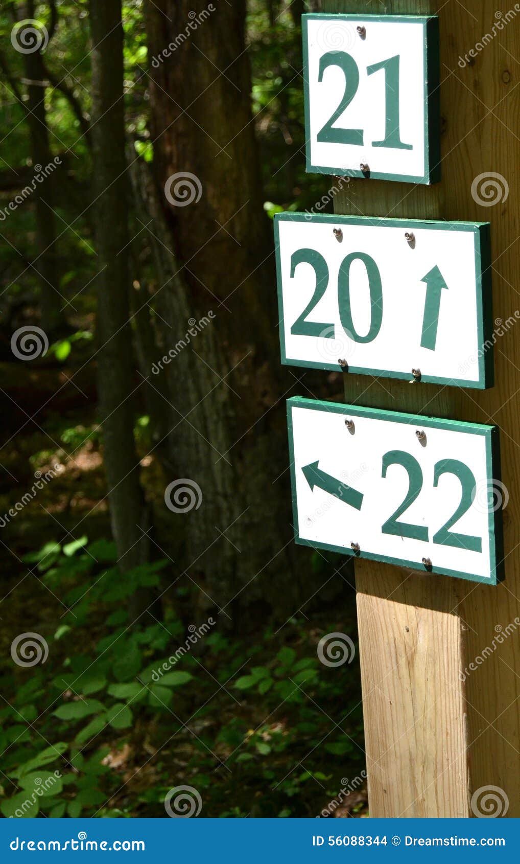 Hiking Trail Sign Post stock photo. Image of sign, forest - 56088344