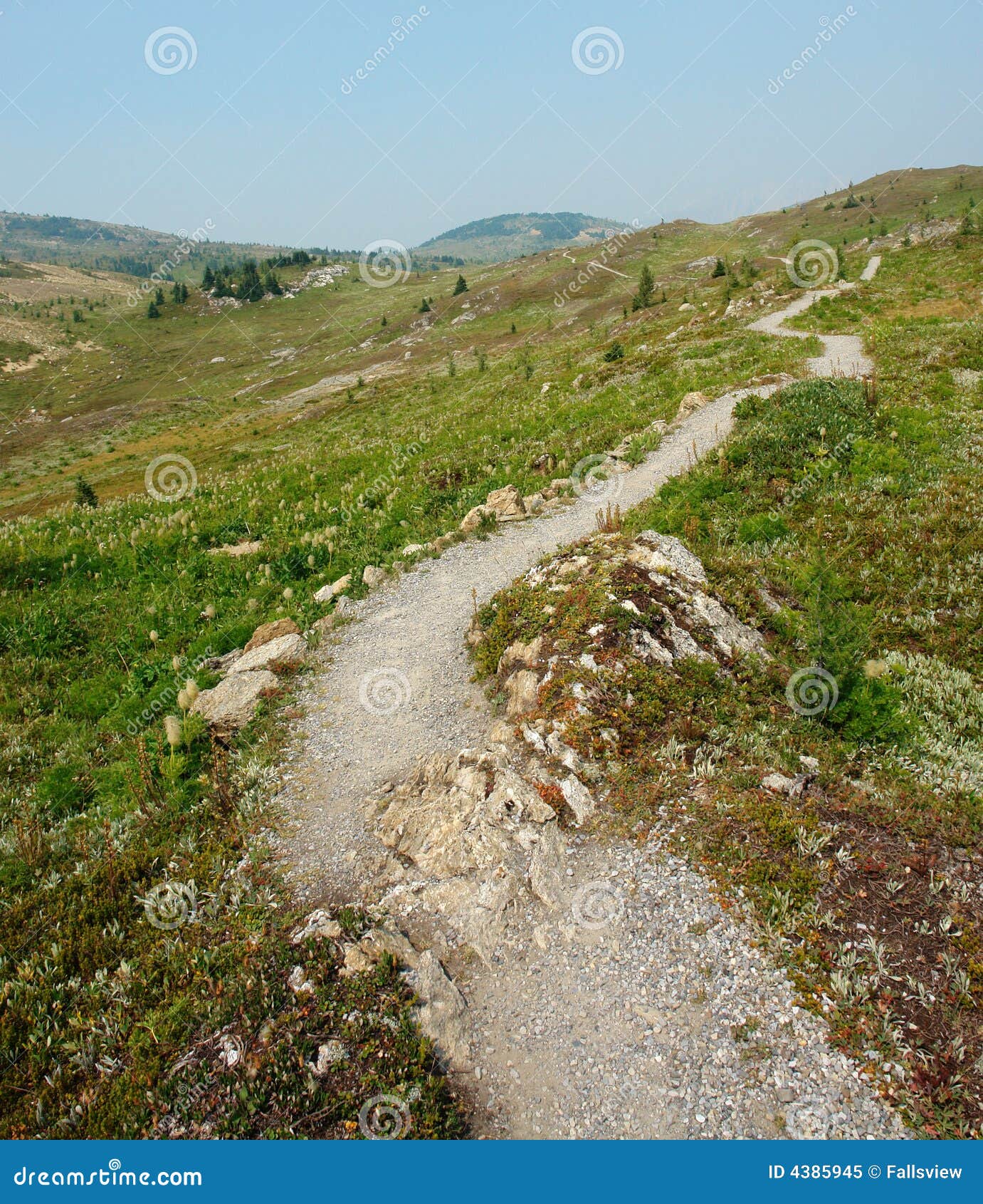 Hiking trail in sunshine stock image. Image of mountain - 4385945