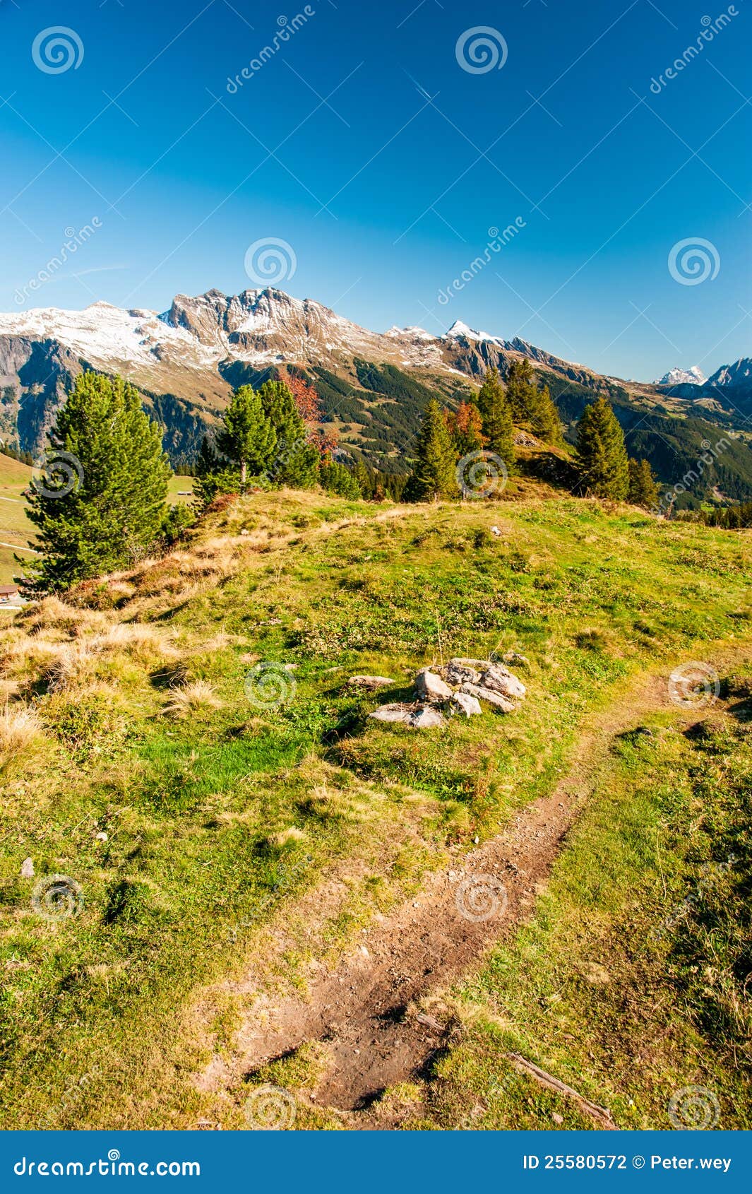 Hiking trail in swiss alps stock photo. Image of swiss - 25580572