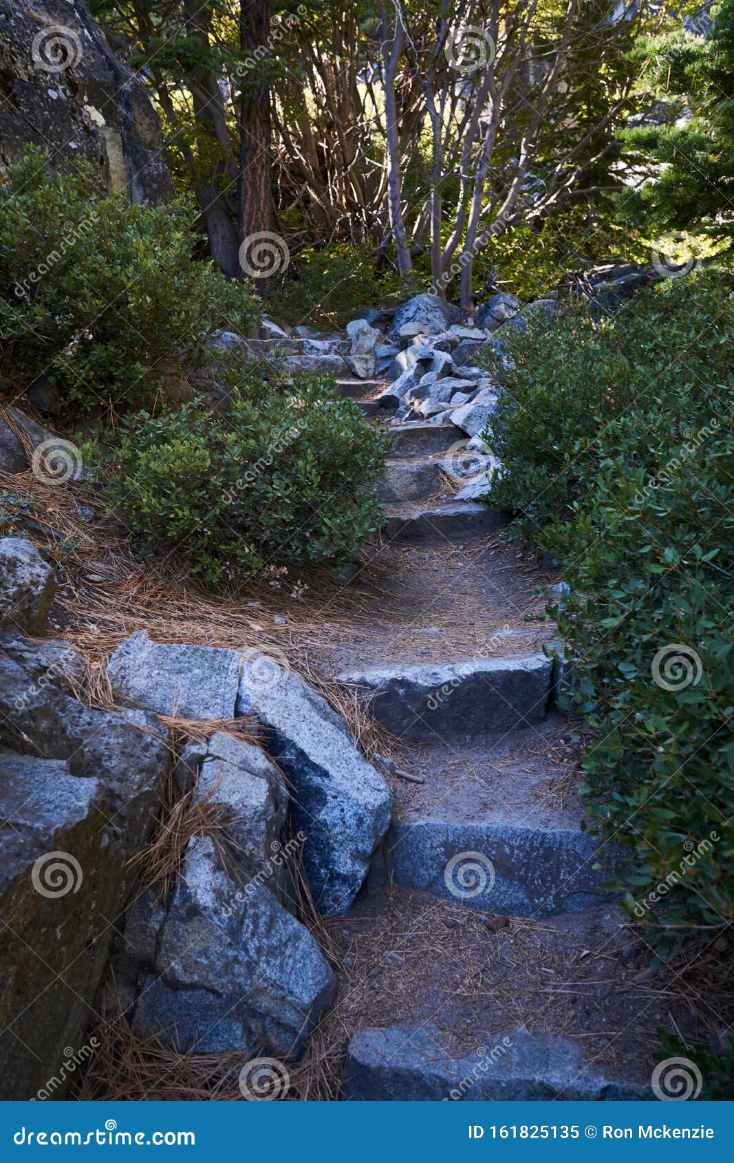 Hiking trail Uphill stock image. Image of light, nature - 161825135