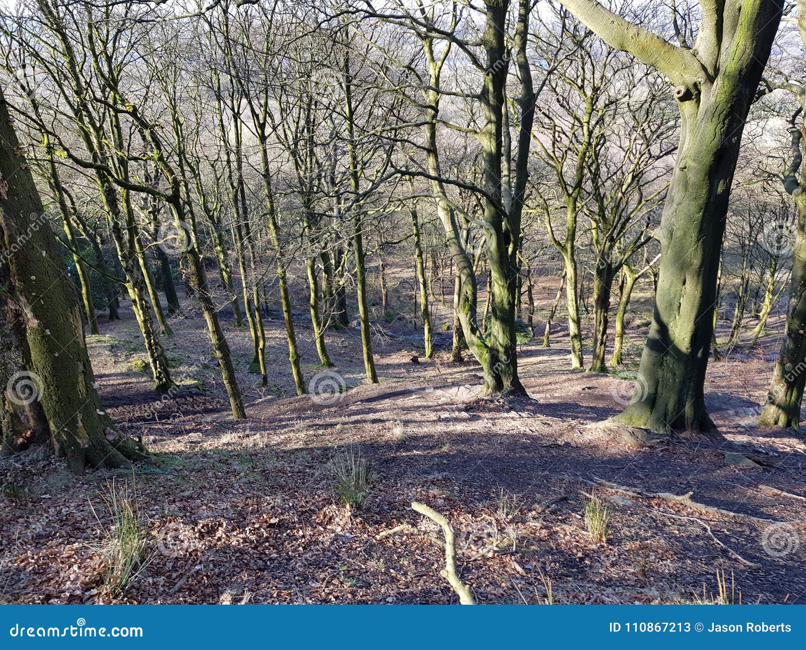 Rivington stock image. Image of walk, fresh, rivington - 110867213