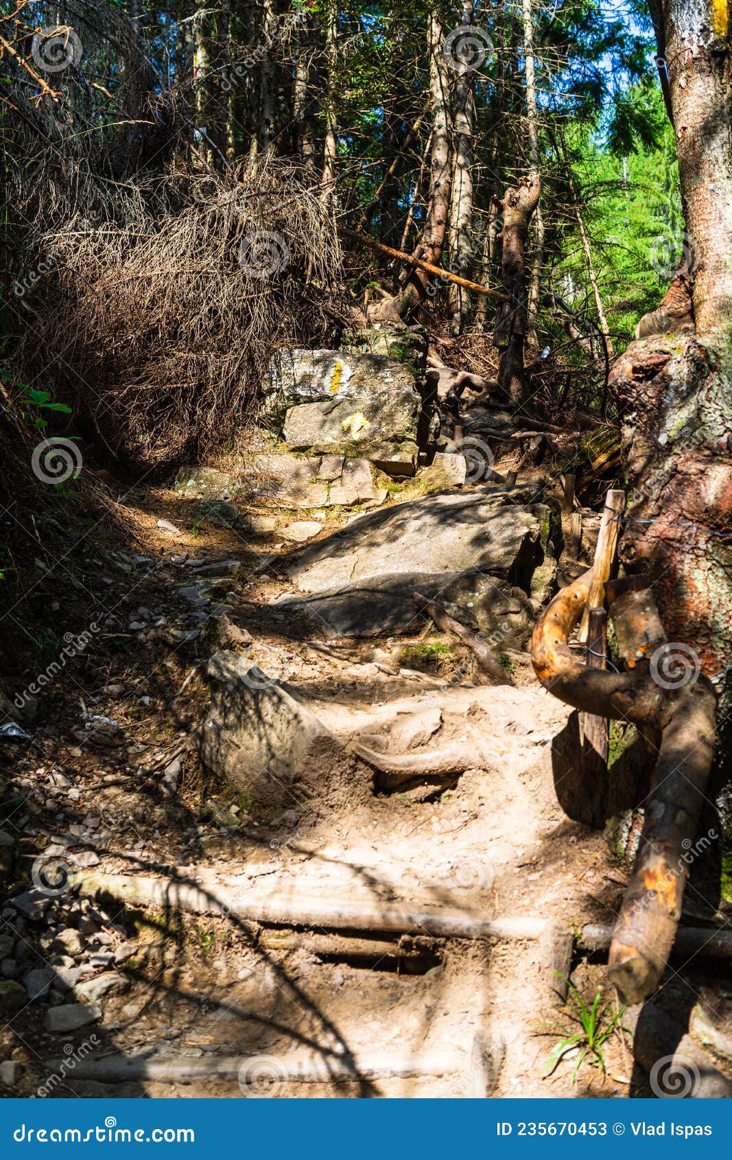 Hiking, View of Mountain Forest Trail. Sunlights Over a Difficult Trail ...