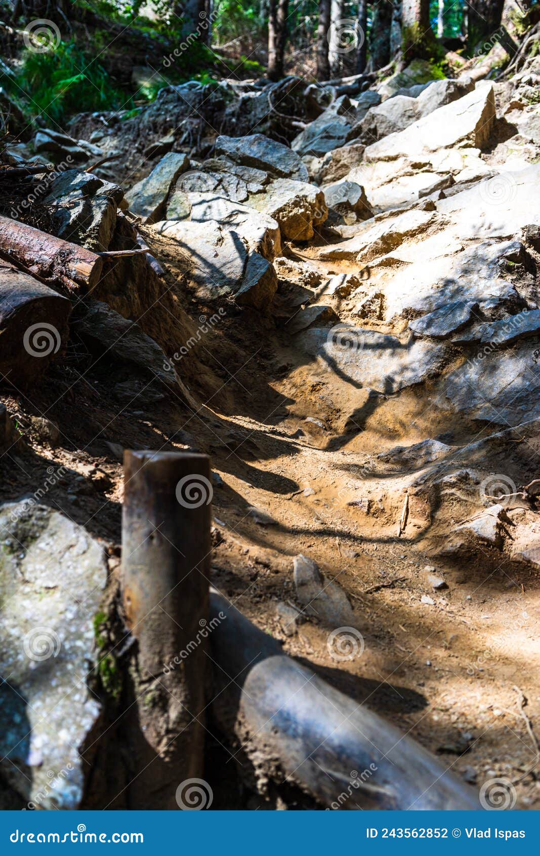 Hiking, View of Mountain Forest Trail. Sunlights Over a Difficult Trail ...