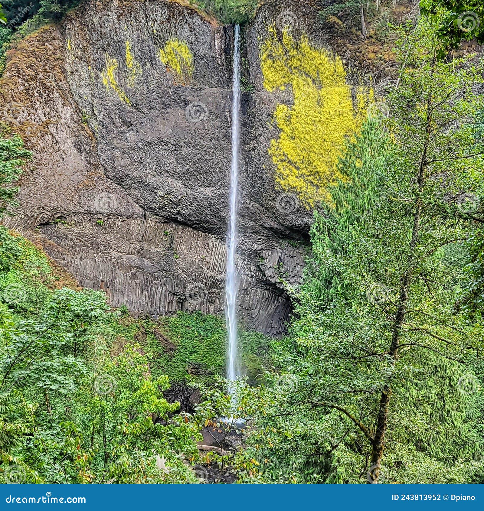 Hiking Views Around Cascade Locks Oregon Stock Photo - Image of soil ...
