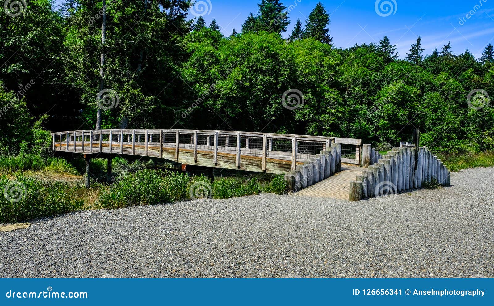 Hiking Walking and Exploring the Beautiful Green and Natural Tolmie ...