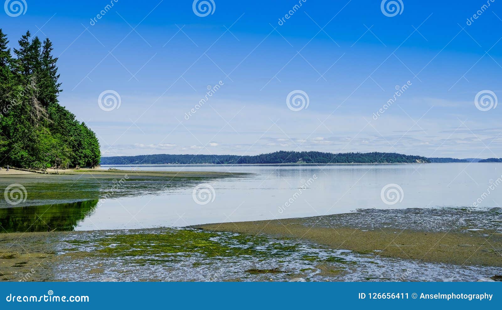 Hiking Walking and Exploring the Beautiful Green and Natural TolPuget ...