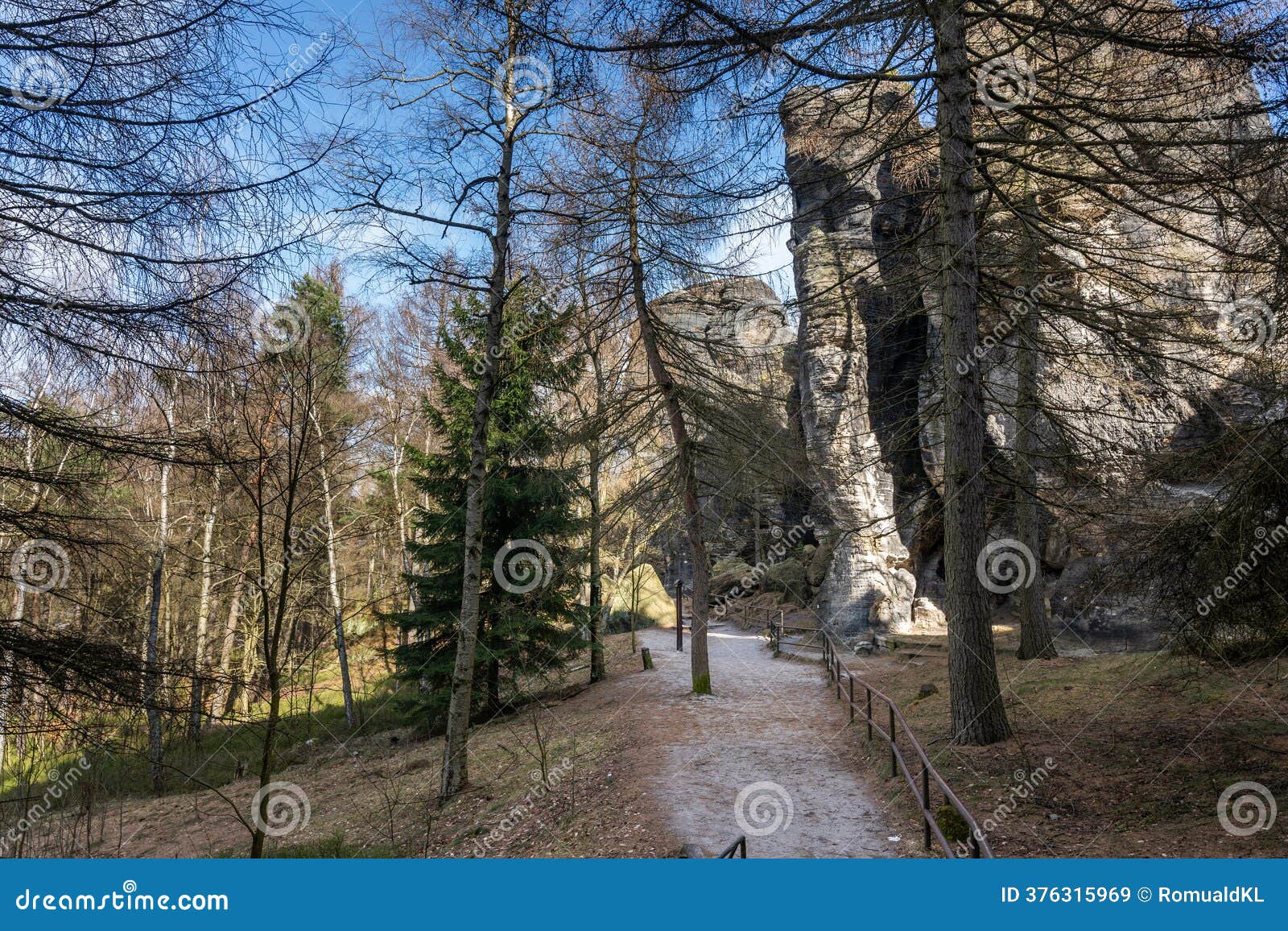 Path Trail In Madeira Island Stock Image | CartoonDealer.com #92346769