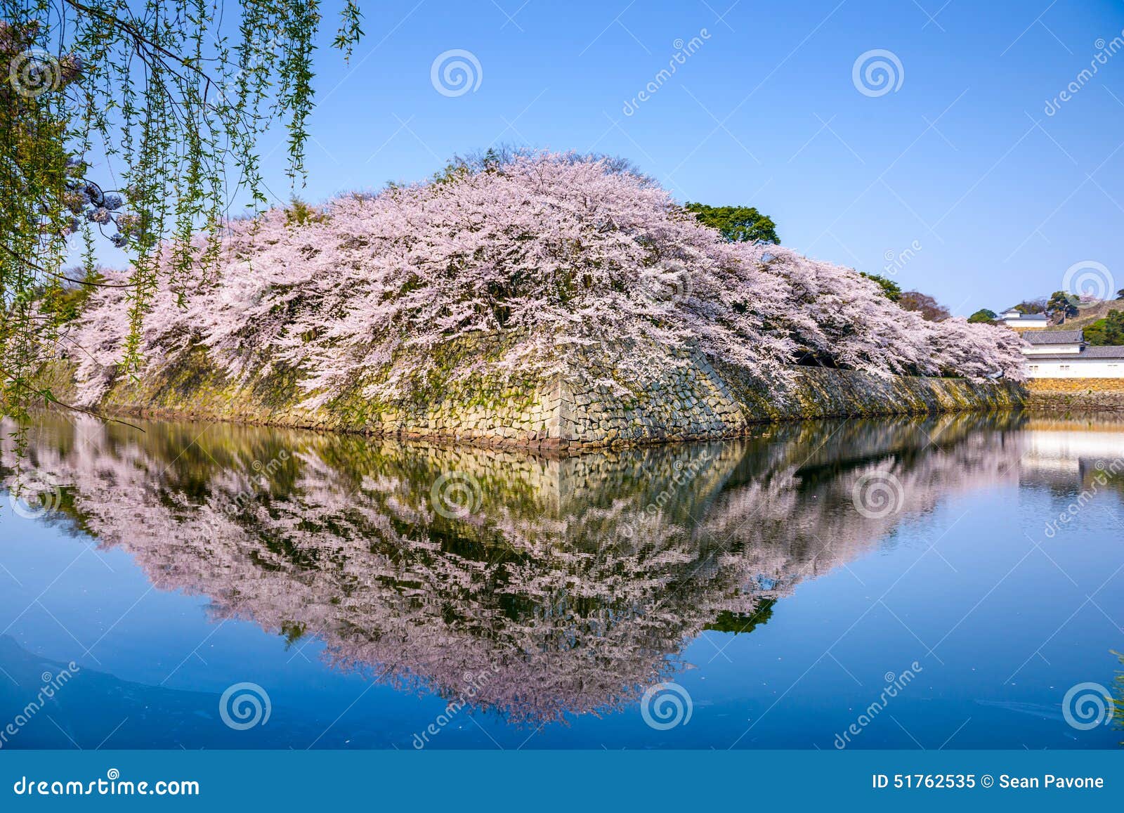 Hikone Castle Moat stock image. Image of japanese, shiga - 51762535