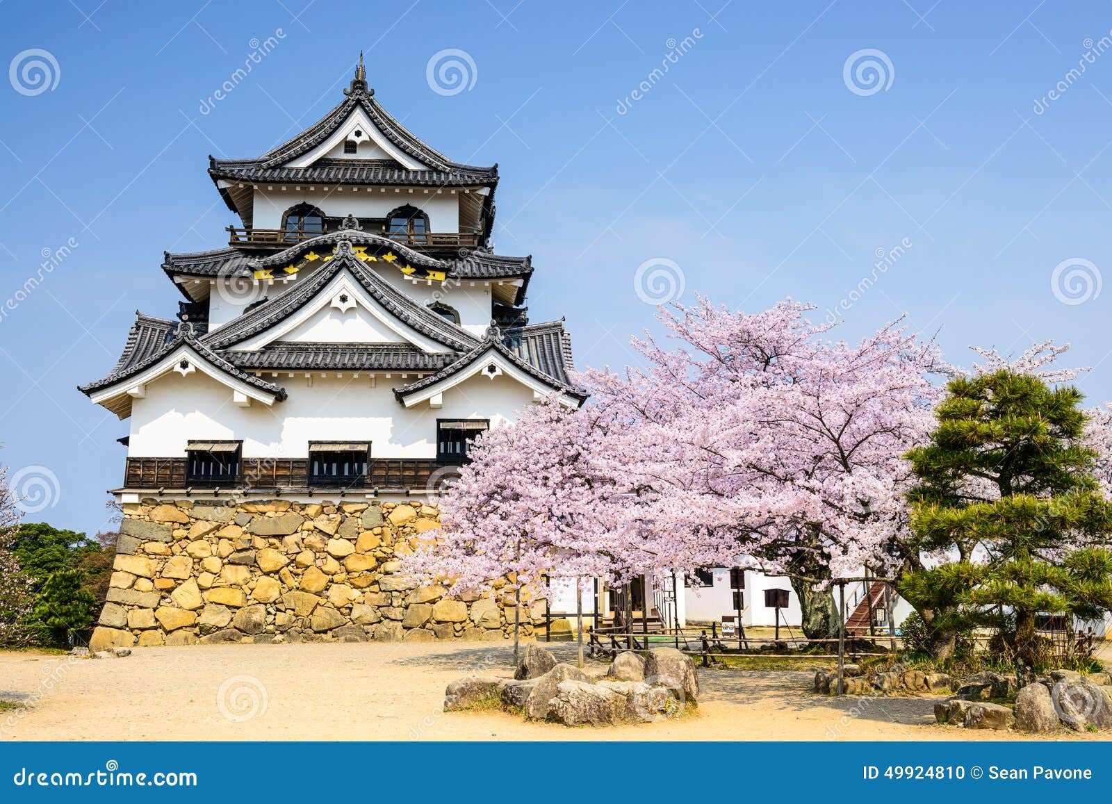 Hikone Castle in the Spring Stock Photo - Image of blossoms, ancient ...