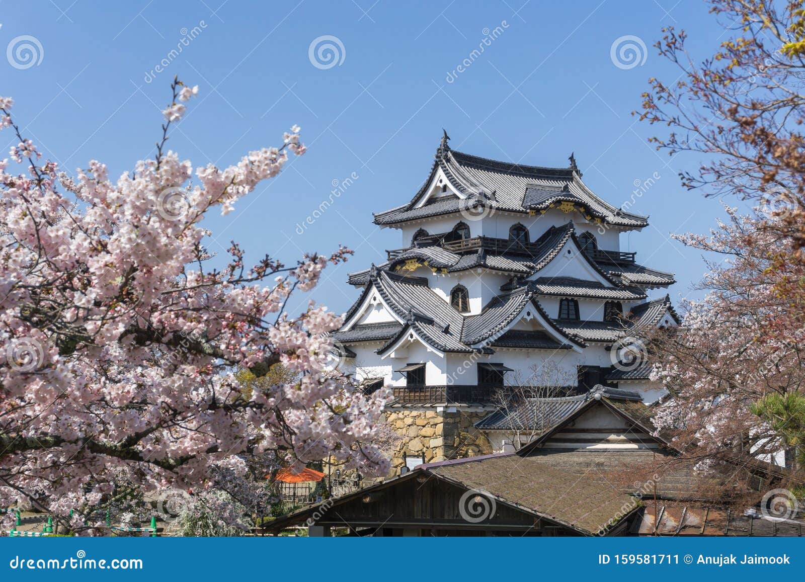 Hikone Castle Yakatabune Cruise Is A Sightseeing Tour Around The Castle ...