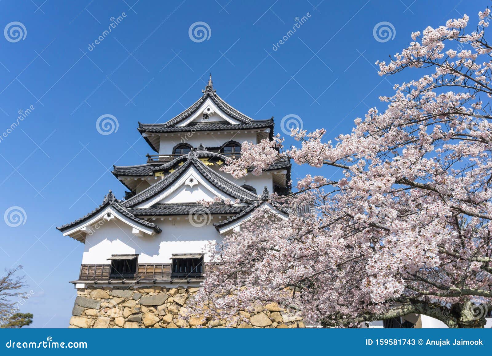 Hikone Castle Yakatabune Cruise Is A Sightseeing Tour Around The Castle ...