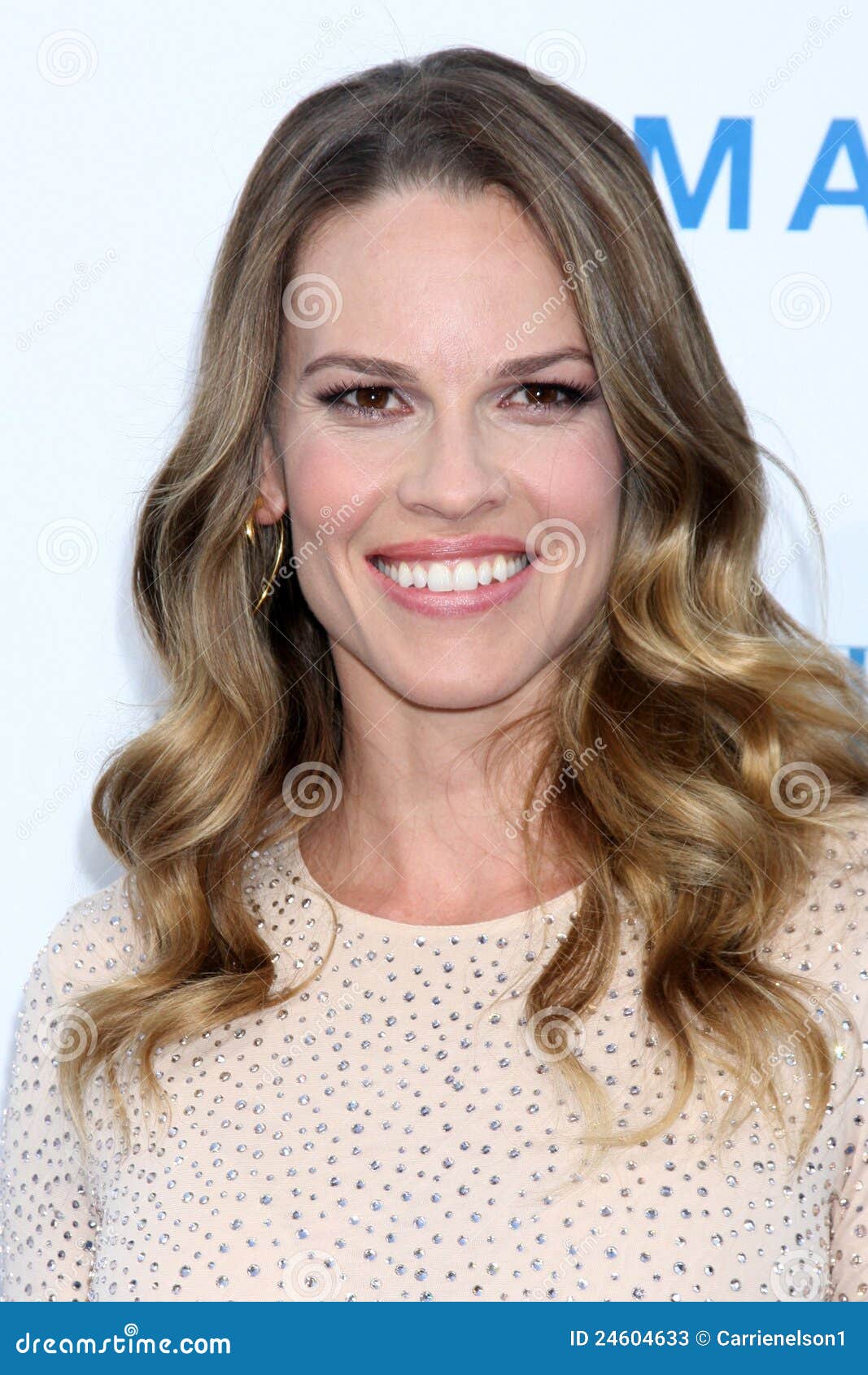 Hilary Swank's Instagram, Twitter & Facebook on IDCrawl