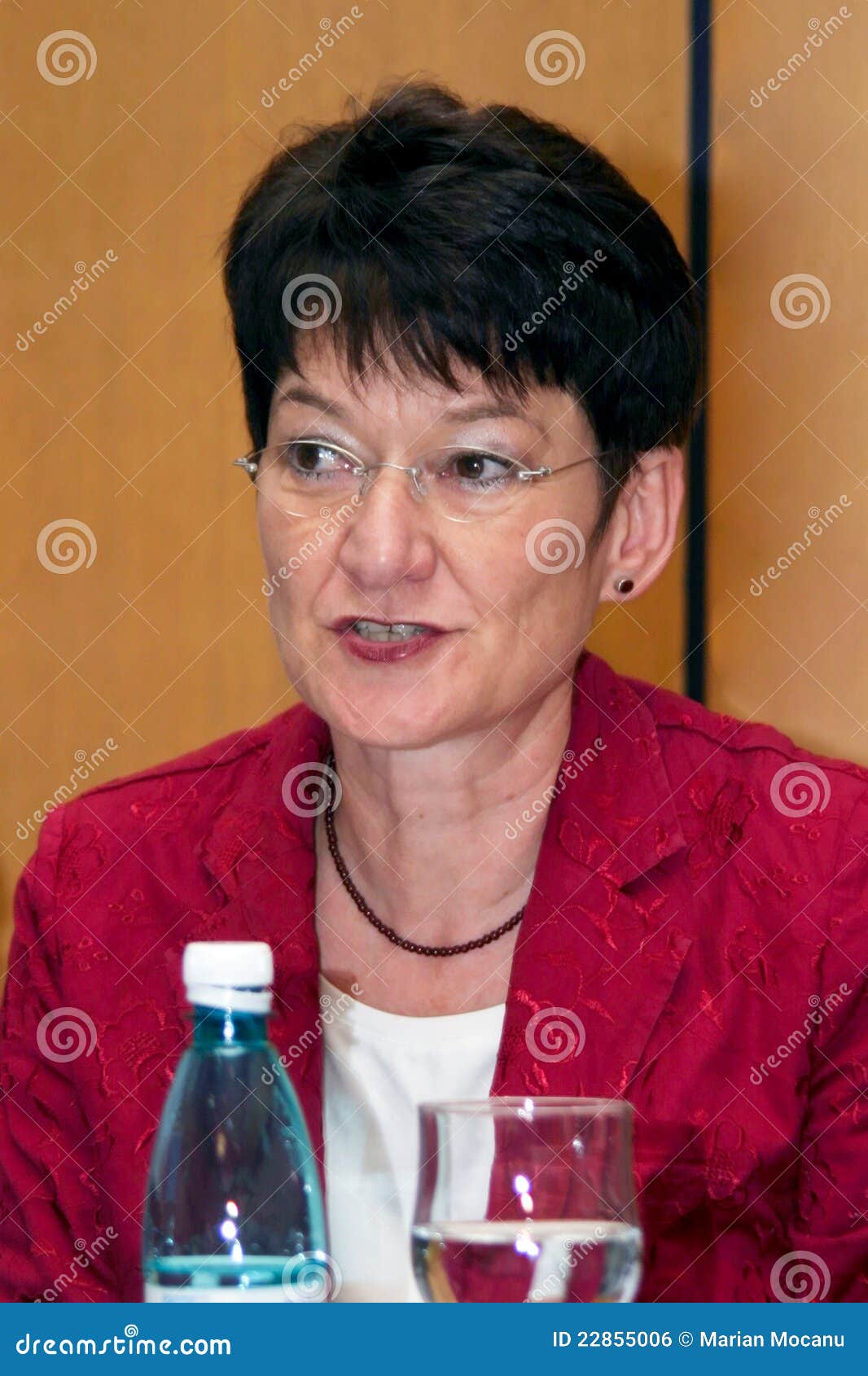 Gacek Stock Photos - Free & Royalty-Free Stock Photos from Dreamstime