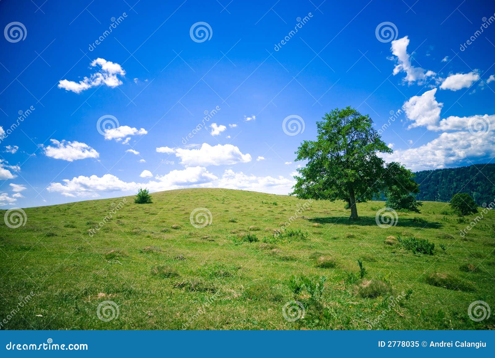 Hill stock image. Image of alone, landscape, hill, single - 2778035
