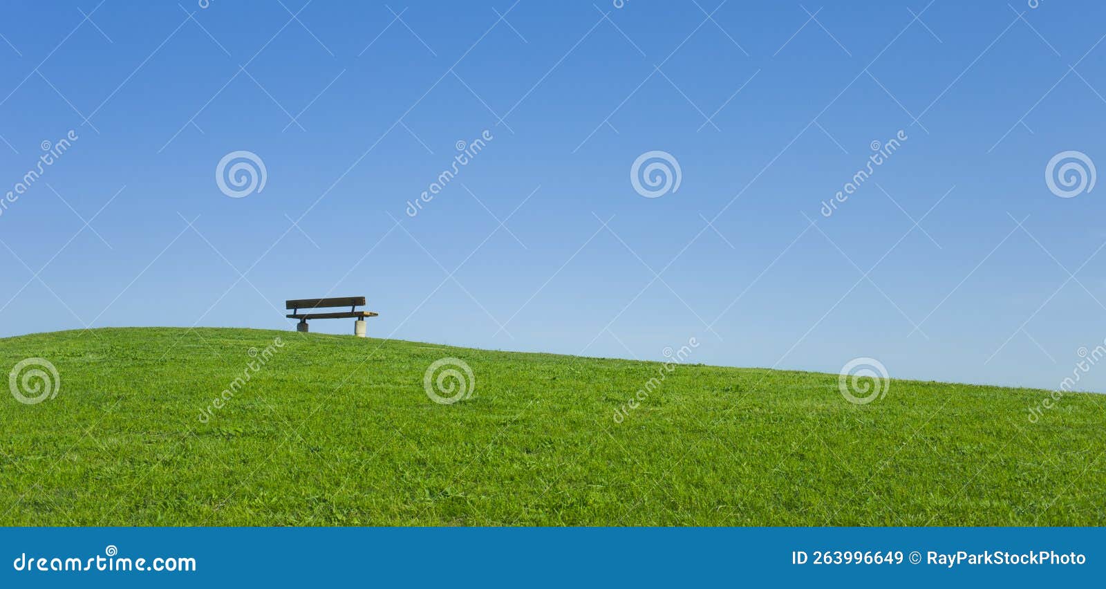 Hill bench stock image. Image of park, deciduous, forest - 263996649