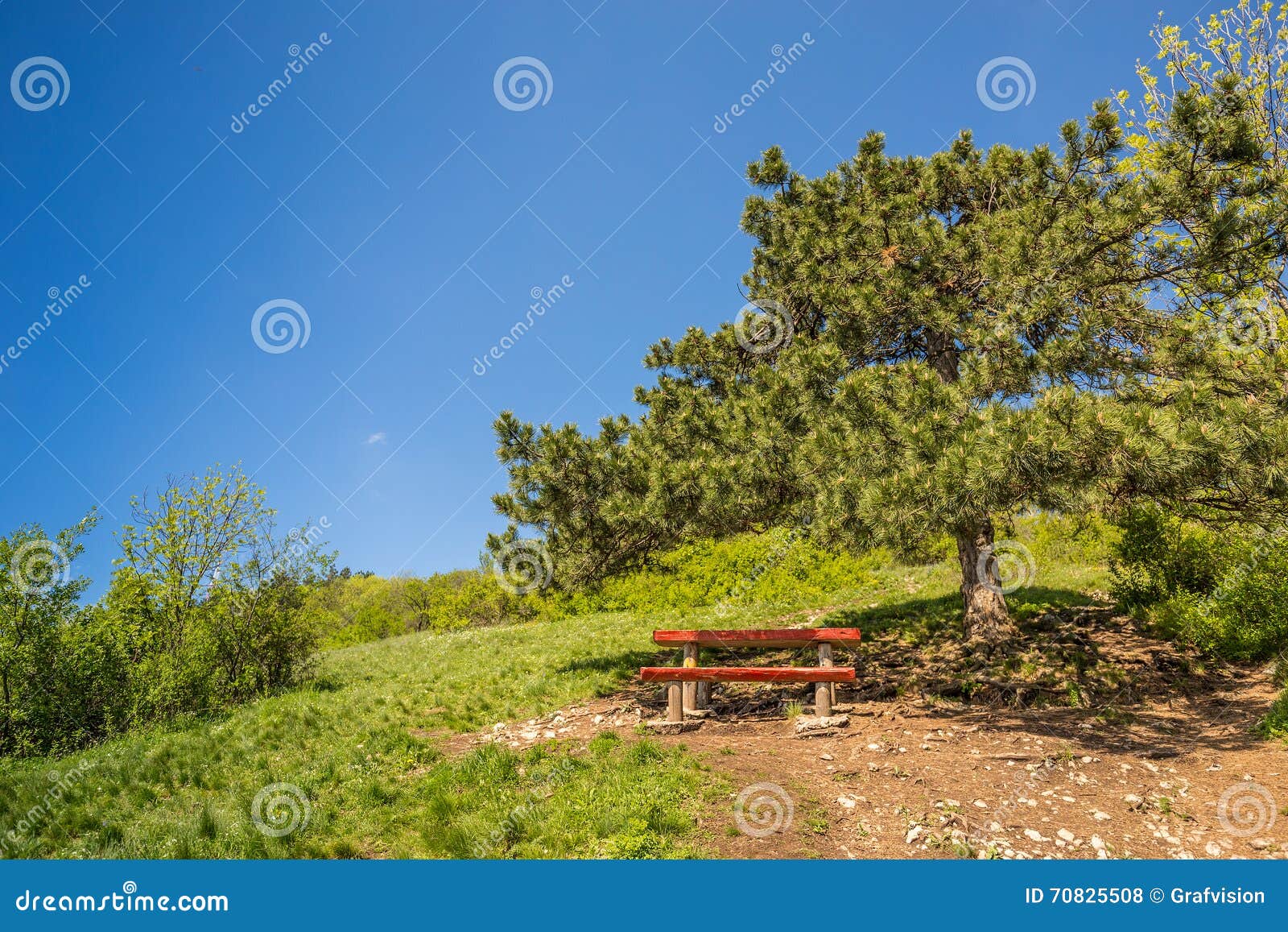 Hill with a bench stock photo. Image of landscape, recreation - 70825508