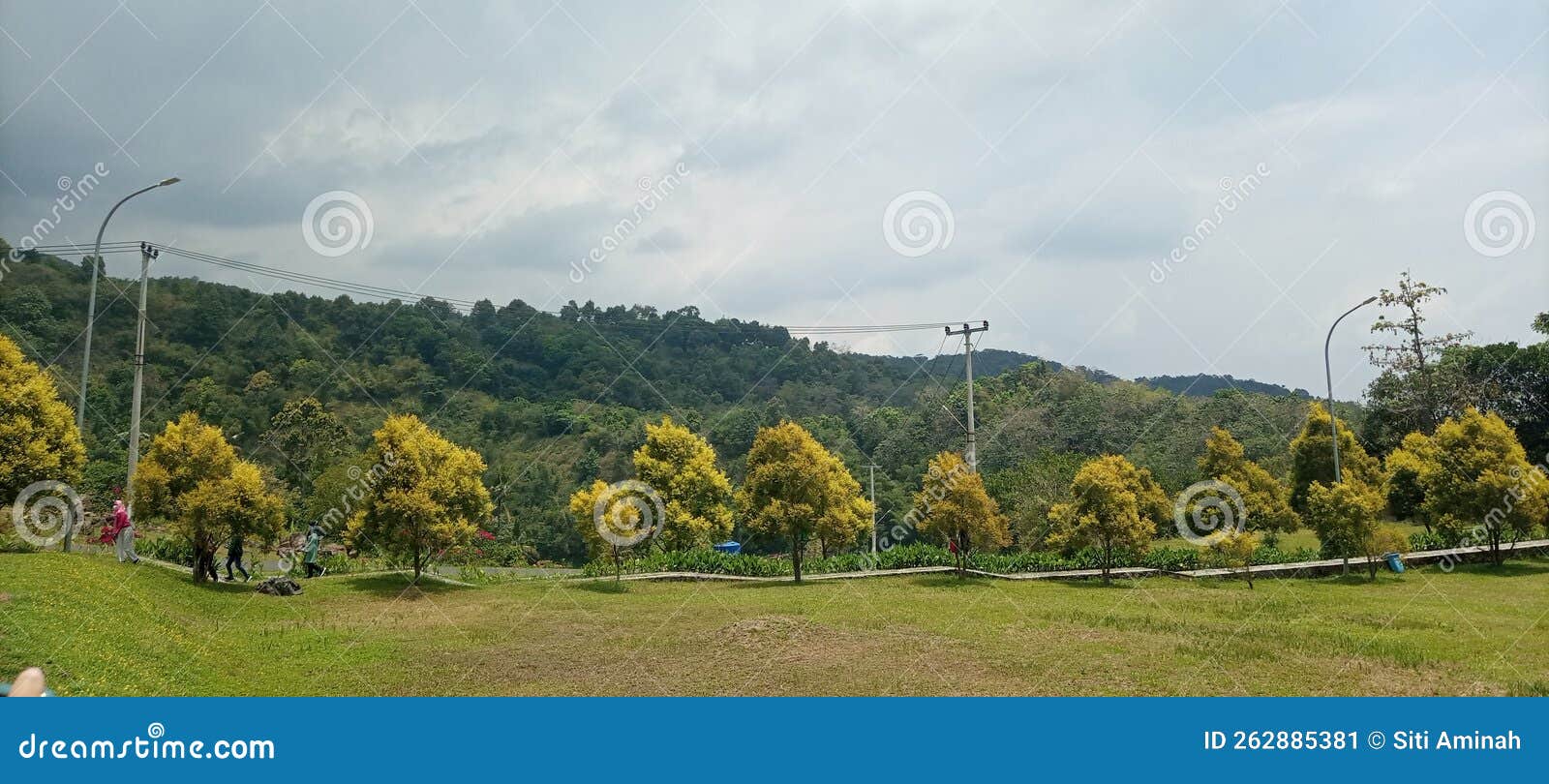 Hill with a Calm Atmosphere Stock Image - Image of field, autumn: 262885381