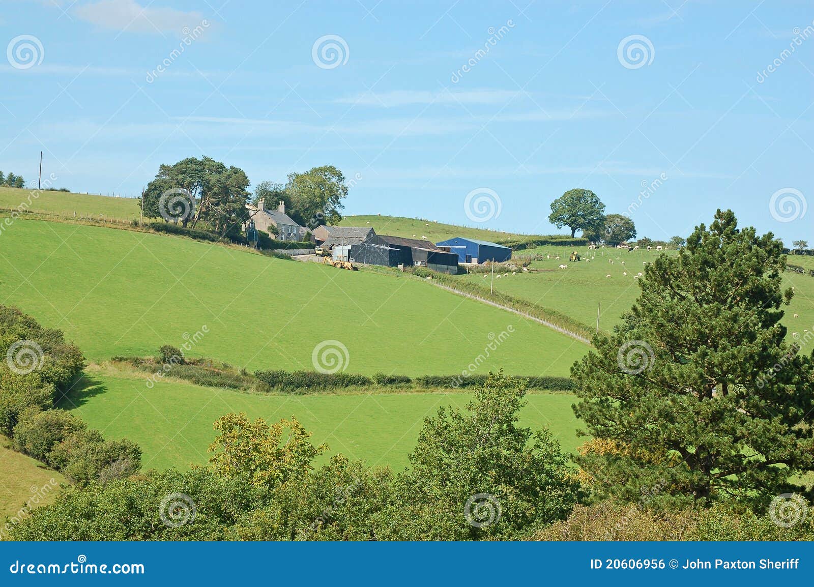 Hill Farm stock photo. Image of hedges, yellow, farm - 20606956