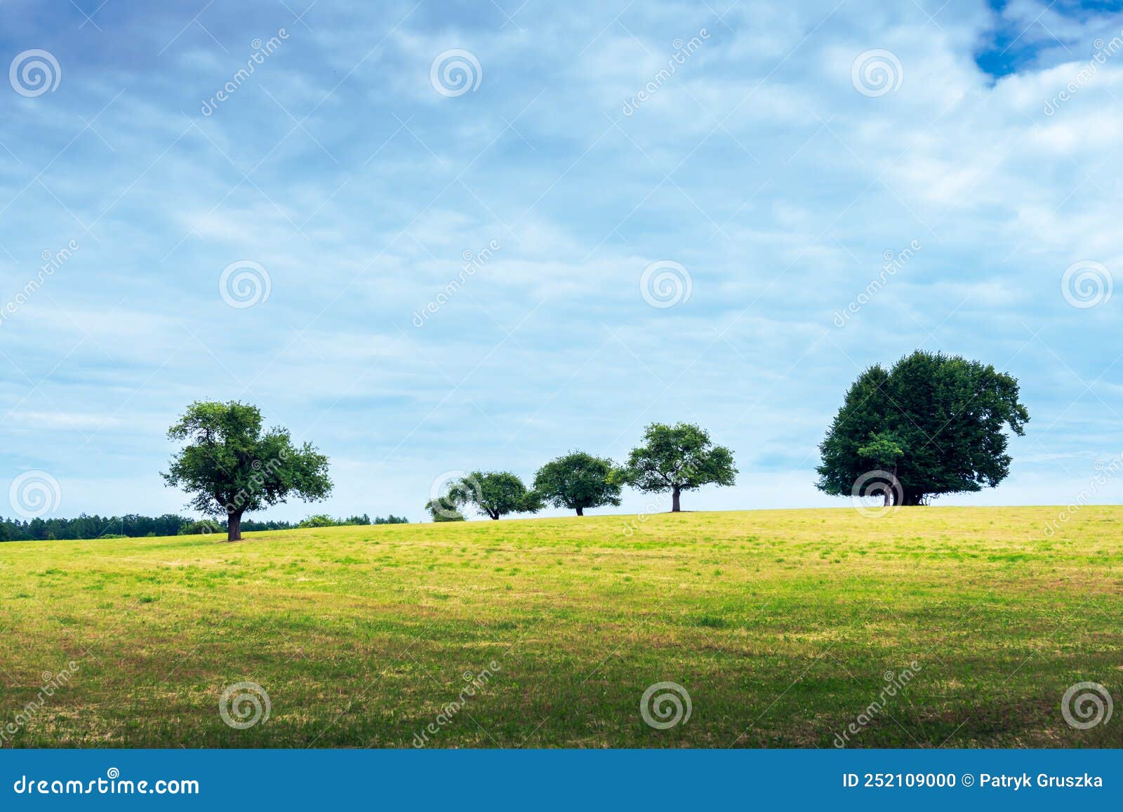 A Hill with a Few Growing Trees in a Beautiful Meadow. Florianka ...
