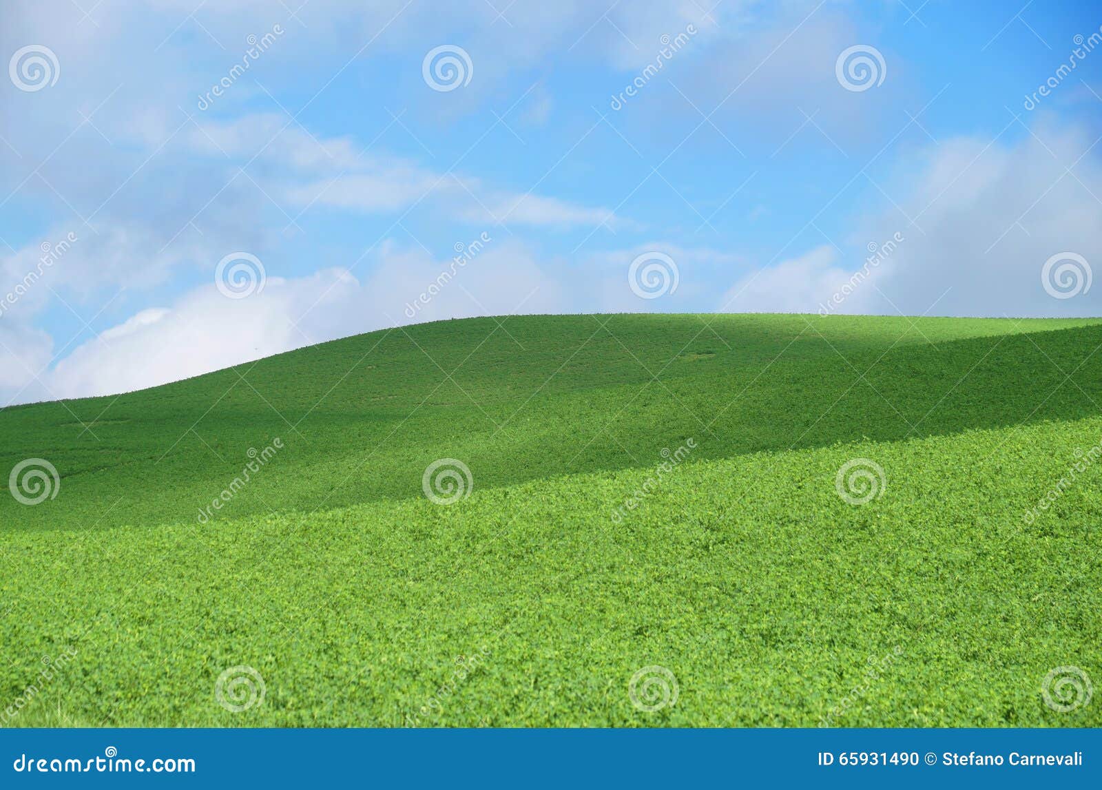 Hill with green grass stock photo. Image of hill, spring - 65931490