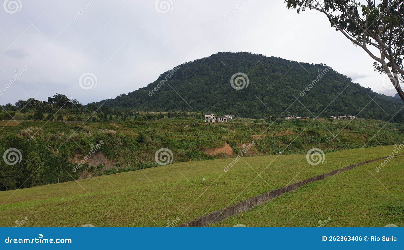 Hill java indonesia stock photo. Image of plain, indonesia - 262363406