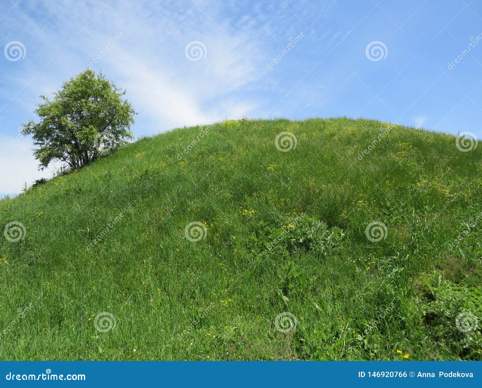 Hill in spring meadow stock photo. Image of blue, blurred - 146920766