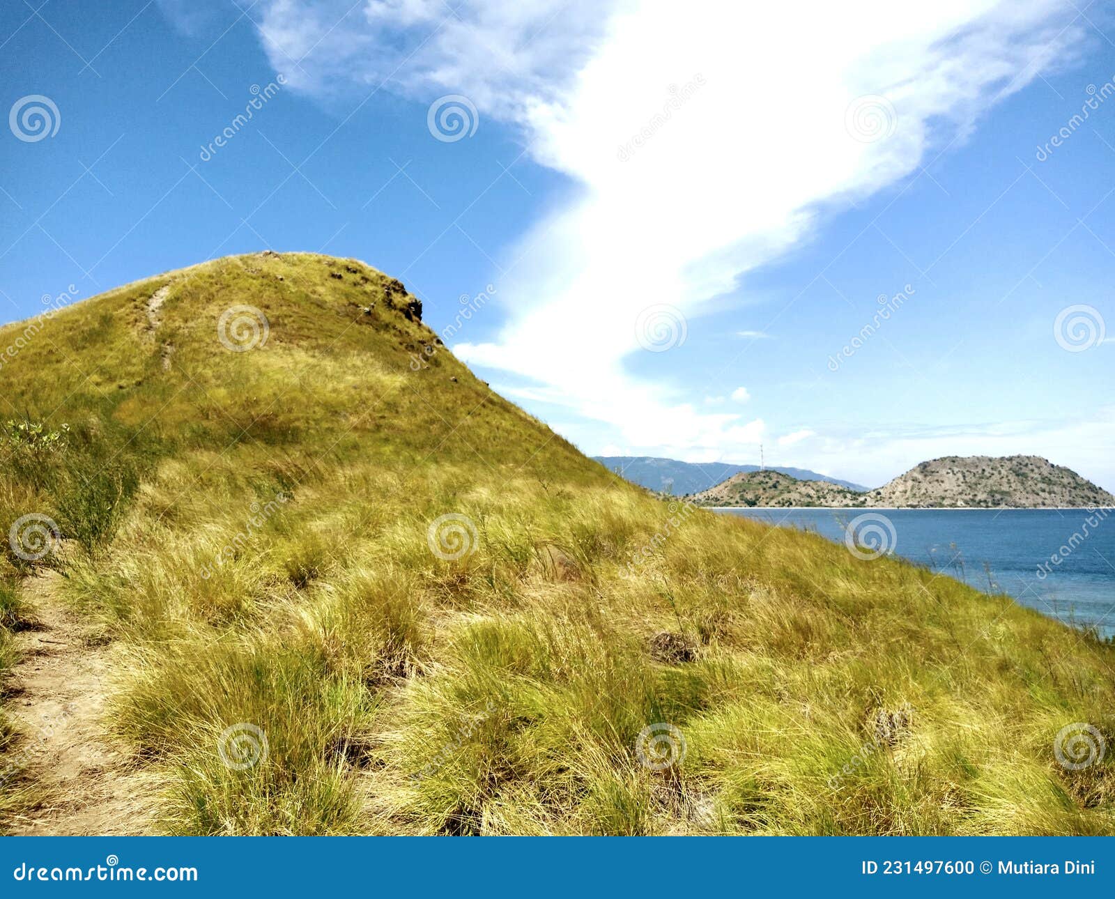 The hill in Kenawa Island stock photo. Image of hill - 231497600