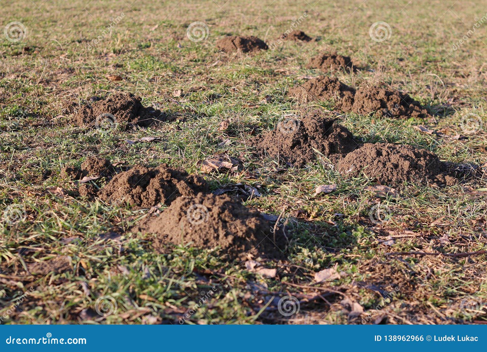 The Hill Makes a Mole All Over the Field Stock Photo - Image of ...